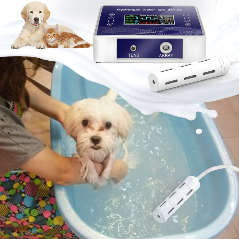 Choosing the Right Hydrogen Bath Generator: Features to Consider ...